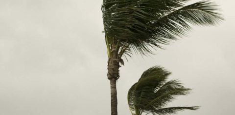 Contents Insurance | Tower Insurance Fiji